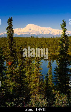 Mount Sanford from Long Lake. Alaska Task Force Photographs Stock Photo ...