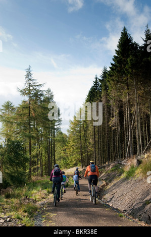 The Lakeside Way at Kielder Forest and Water, Northumberland, England ...