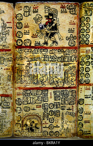 Codex Tro Cortesianus Maya codices pre Columbian Maya civilization ...
