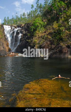 Waterfall Mountain Pine area Belize Central America Stock Photo - Alamy