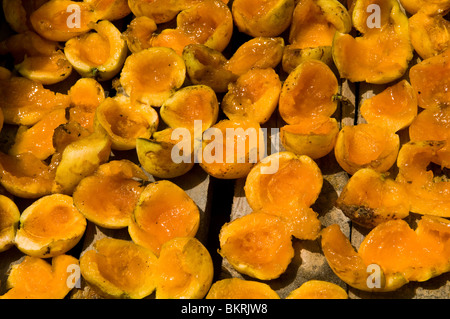 Drying apricots, Hunza valley, Pakistan Stock Photo - Alamy