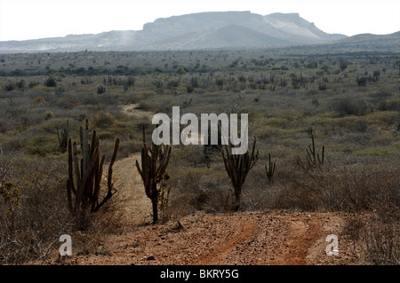 Curacao, Oostpunt, owned by Willy Maal Stock Photo - Alamy