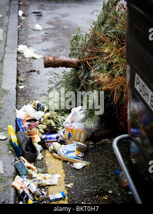 End of the festive season. Dumped Christmas trees waiting for the ...