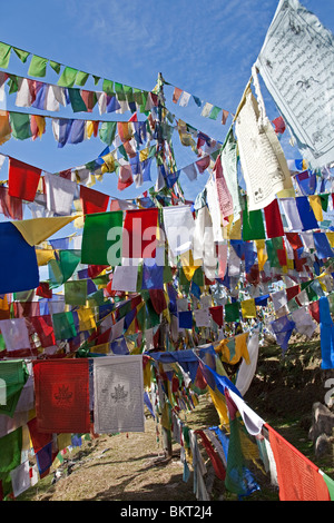 Tibetan prayer flags, Dharamsala, India Stock Photo - Alamy