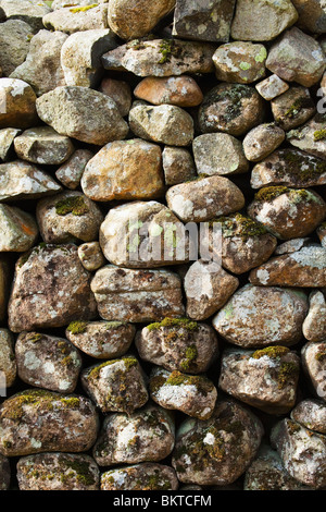 A dry stone wall (also known as a dry-stone dyke, drystane dyke, dry ...