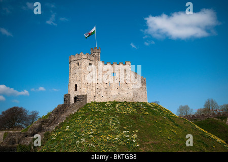 The Norman Keep inside Cardiff Castle in Wales Stock Photo: 29428561 ...