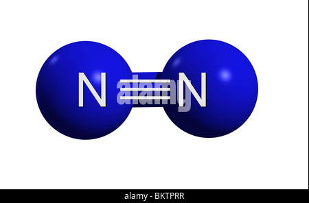 Elemental nitrogen (N2) molecule. Nitrogen gas is the main component ...