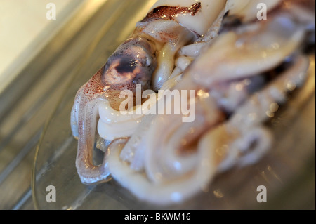 Freshly caught squid being washed and prepared under a tap ready for ...
