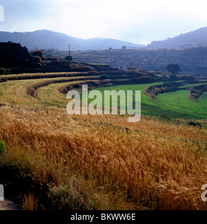 Terraced farm fields near As Soudah; Asir Region; Kingdom of Saudi ...
