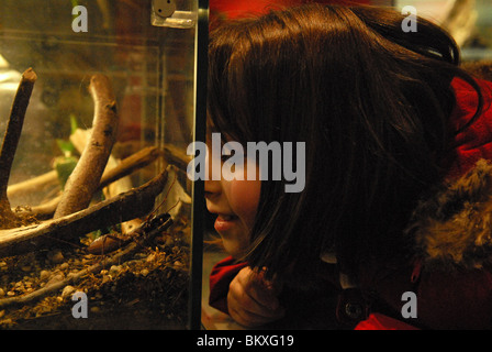 Child at the Insectarium Montreal Canada Stock Photo - Alamy
