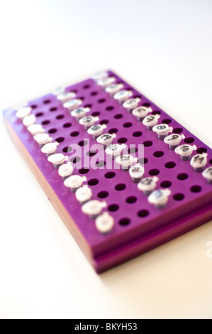 Pipet tips on a tray Stock Photo - Alamy