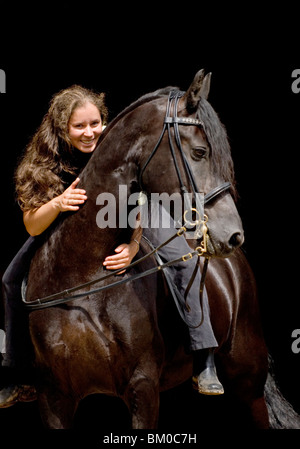 Black friesian saddle horse portrait against dark stable barn Stock ...