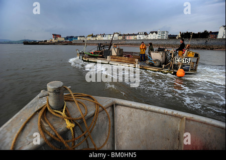 A Mussel barge fishing for mussels on the Exe Estuary, Exmouth, Devon ...