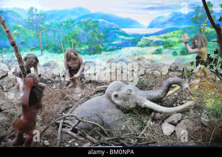 Israel, Haifa, The Prehistoric Museum Stock Photo - Alamy