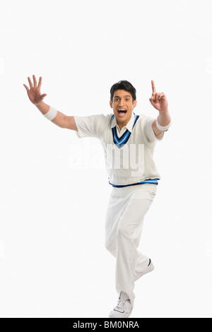 Cricket bowler appealing for a wicket Stock Photo - Alamy