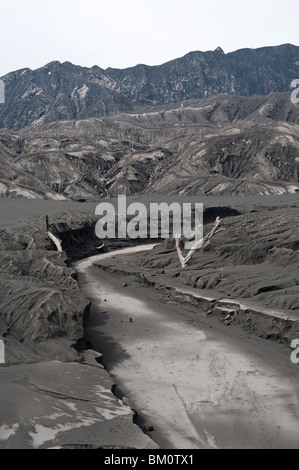 Thick Layers of Volcanic Ash and Debris Cover the Area by the Old ...