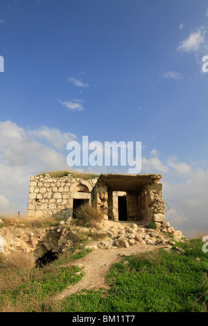 Israel, Shephelah, remains of the Crusader castle "Le toron des ...