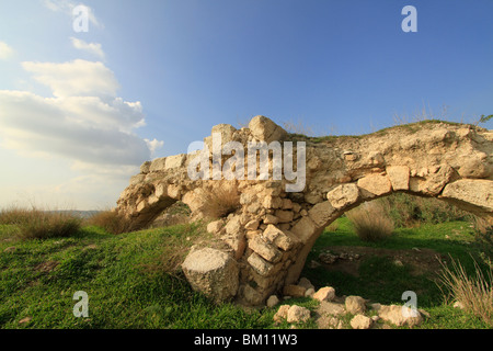 Israel, Shephelah, remains of the Crusader castle "Le toron des ...