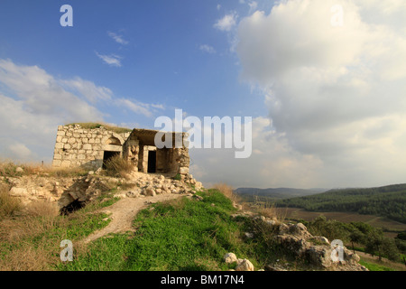Israel, Shephelah, remains of the Crusader castle "Le toron des ...