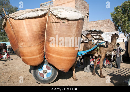 Camel pulling a cart loaded with cargo, Sawai Madhopur, Rajasthan ...