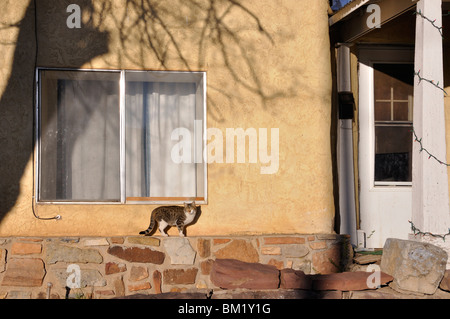 Poor neighborhood in Las Vegas, New Mexico, USA Stock Photo - Alamy