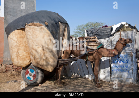 Camel pulling a cart loaded with cargo, Sawai Madhopur, Rajasthan ...