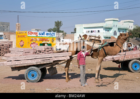 Camel pulling a cart loaded with cargo, Sawai Madhopur, Rajasthan ...