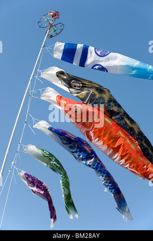 Colorful Japanese koinobori carp streamers for each family member wave ...