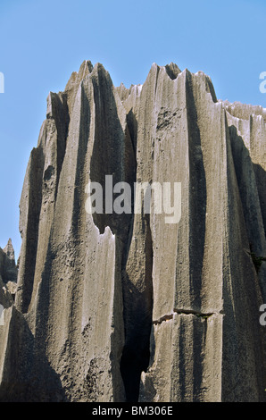 Rock formation Stone Forest Yunnan China Stock Photo - Alamy