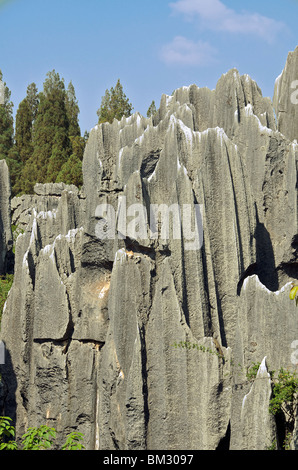Stone forest formation in Yunnan province, China Stock Photo - Alamy