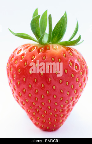 strawberry close up Stock Photo - Alamy