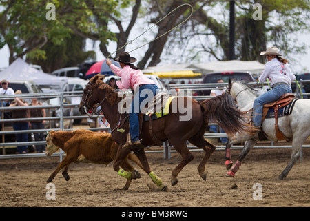 Team Calf Roping at Rodeo Stock Photo - Alamy