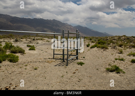 Lower Owens River section that was rewatered by the LADWP. Flows are at ...