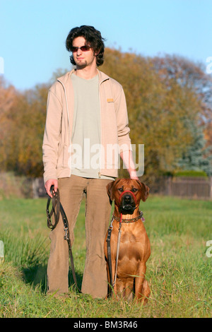 Rhodesian Ridgeback with man Stock Photo - Alamy