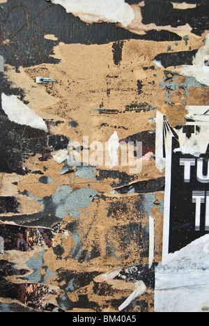 Macro close-up of a wall spray painted with gray & black. Light green ...