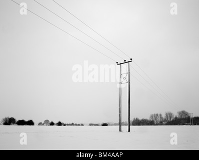 Electric pylons in the snow field Stock Photo - Alamy