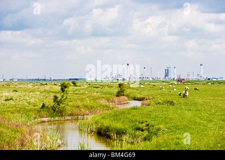 Thames Haven Oil Refinery from Cliffe Marshes Kent England Stock Photo ...