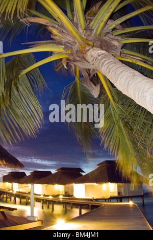 Sunset on Maldive Island Ellaidhoo, Maldives, North Ari Atoll Stock ...