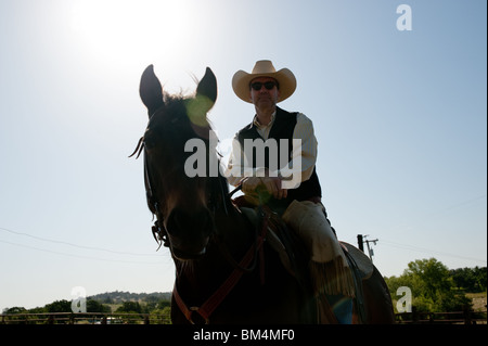 Cowboys in action riding horseback and roping a bull. bull is ...
