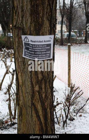 Japanese Knotweed Control Site Warning Sign, UK Stock Photo - Alamy