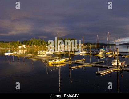Steamboat Island, East Puget Sound, Olympia, Washington Stock Photo - Alamy