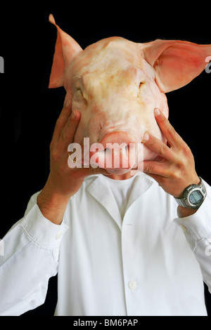 Butcher holding pigs head Stock Photo - Alamy