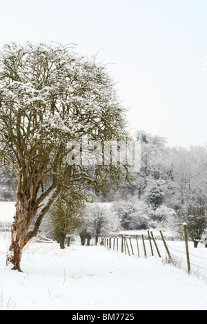 Snowfall in the Chiltern Hills, Buckinghamshire, England Stock Photo ...