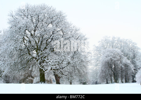 Snowfall in the Chiltern Hills, Buckinghamshire, England Stock Photo ...