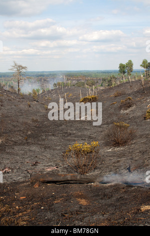 Heath Fire at the Ranges Chobham Stock Photo - Alamy