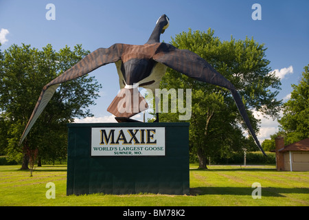 Maxie-world's largest goose, Sumner, Missouri Stock Photo - Alamy