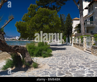 Puerto Pollenca pine walk Stock Photo - Alamy