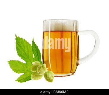 Hop plant. Beer production. Horizontal photo on a dark background Stock ...