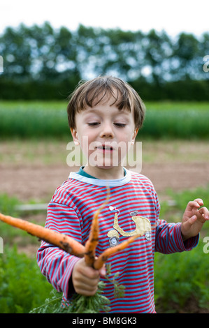 5 year old boy digging up carrots Stock Photo - Alamy