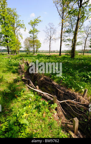 The World War One German 'Bayernwald' trench system near Ypres in ...